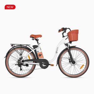 DYU Exclusive Official Website | Best Electric Bikes